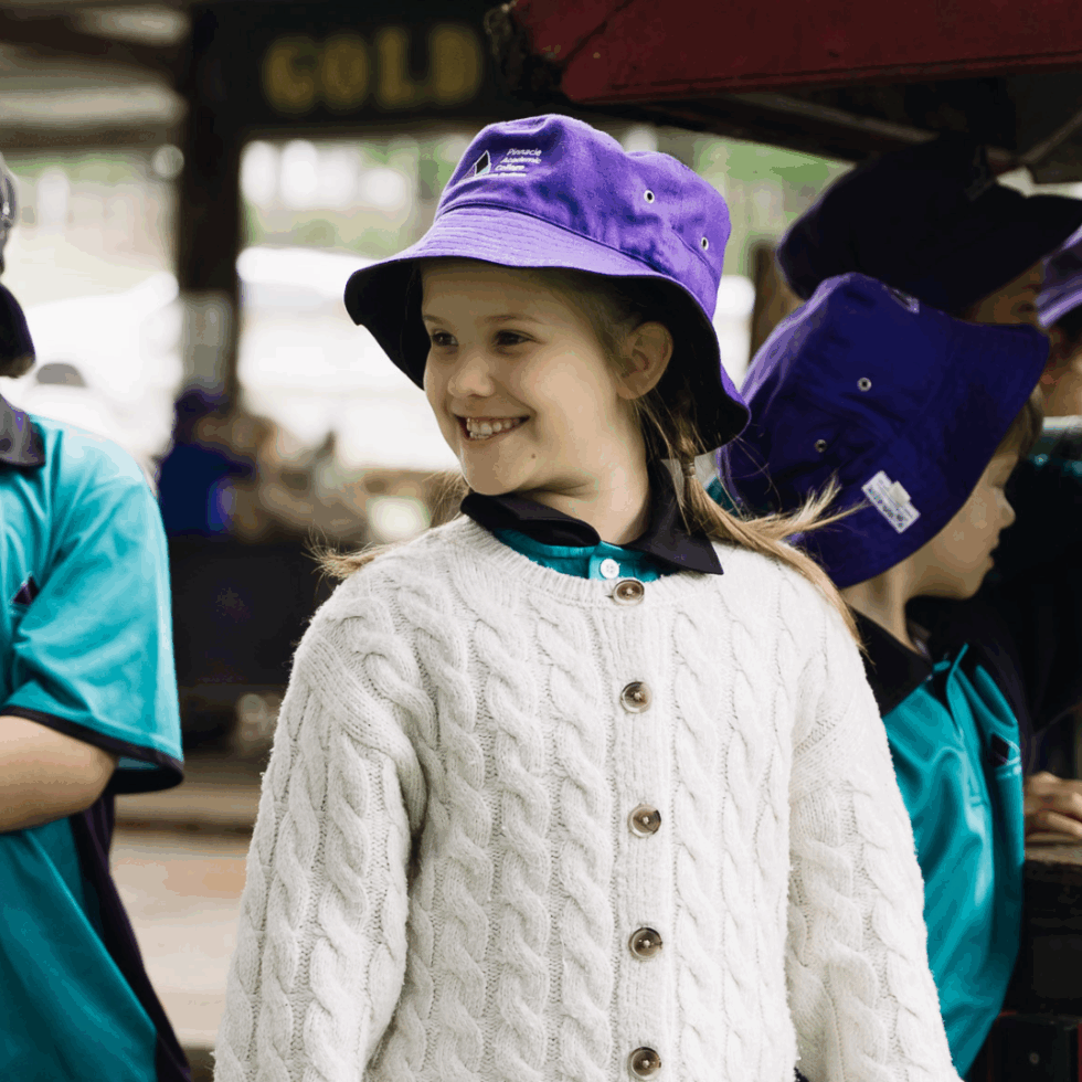 Curriculum | Pinnacle Academic College